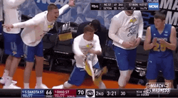 Excited Players At The Bench GIF | GIFDB.com