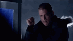 Execute Plan Wentworth Miller GIF | GIFDB.com