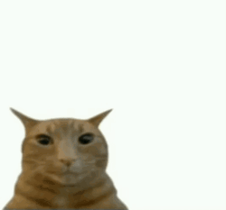 Explode Cat Cat Meme GIF | GIFDB.com