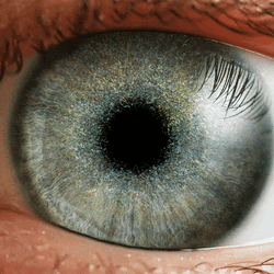 Eye Retina Optical Illusion GIF | GIFDB.com