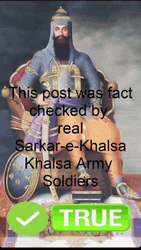 Fact Check Patriot GIF | GIFDB.com