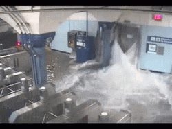 Factory Flooded With Water GIF | GIFDB.com