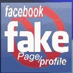 Fake Facebook Page And Profile GIF | GIFDB.com