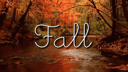 Fall Word Text Scenery GIF | GIFDB.com