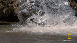 Falls Water Pouring Down GIF | GIFDB.com