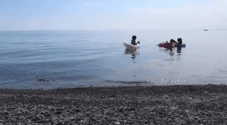 Family On The Floaties GIF | GIFDB.com