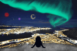 Fantastic Northern Lights Viewing GIF | GIFDB.com