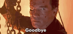 Farewell Goodbye Terminator Arnold Schwarzenegger GIF | GIFDB.com