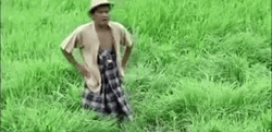 Farmer Standing In A Rice Field GIF | GIFDB.com