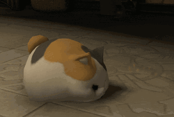 Fat Cat 3d Roll Over GIF | GIFDB.com