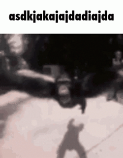 Fat Monkey Spinning Around GIF | GIFDB.com