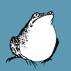 Fat Toad Croaking GIF | GIFDB.com