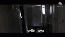 Fbi Open Up Hello Uwu Meme GIF | GIFDB.com