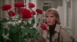 Feliz Aniversario 480 X 260 Gif GIF | GIFDB.com