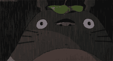 Fictional Character Totoro Friend Catbus GIF | GIFDB.com