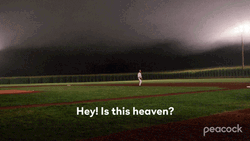 Field Of Dreams Baseball Heaven Iowa GIF | GIFDB.com