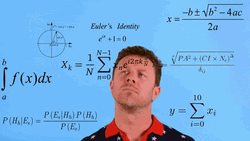 Figure It Out Leonhard Euler Calculation GIF | GIFDB.com