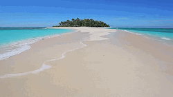 Fiji Island White Beach GIF | GIFDB.com