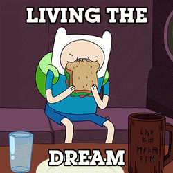 Finn Living The Dream GIF | GIFDB.com