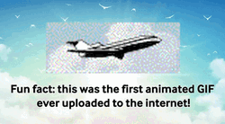 First Animated Plane Internet GIF | GIFDB.com