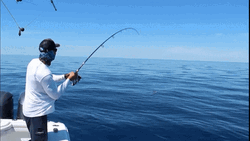 Fish Jumps While Fishing GIF | GIFDB.com