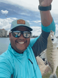 Fish Spinning On Fishing Rod GIF | GIFDB.com