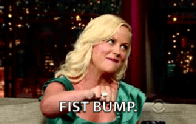 Amy Poehler Want Fist Bump GIF | GIFDB.com