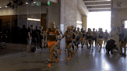 Fitness Sprint Campaign GIF | GIFDB.com