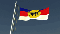 Halfarr Roleplay Flag GIF | GIFDB.com