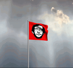 Man In Red Flag GIF | GIFDB.com