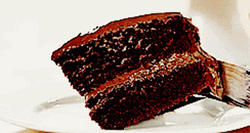 Flavorful Chocolate Moist Cake Slice GIF | GIFDB.com