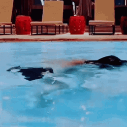 Floating 498 X 498 Gif GIF | GIFDB.com