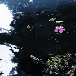 Flowing River Aesthetic Pfp GIF | GIFDB.com