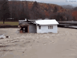 Flood House Wreck Washed Away Bumping Bridge GIF | GIFDB.com