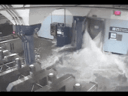 Flood Machine Room Water Gushing Overflow GIF | GIFDB.com