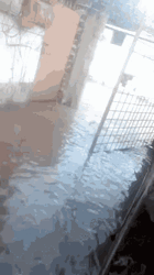 Flood Water Overflow Inside Garage GIF | GIFDB.com