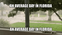 Average Day In Florida Rainy Weather GIF | GIFDB.com