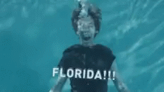 Florida GIFs | GIFDB.com