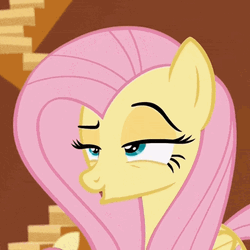Fluttershy Silly Look GIF | GIFDB.com
