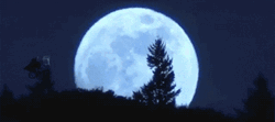 Flying Cycle On Moon Night GIF | GIFDB.com