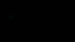 Focus Features Photography GIF | GIFDB.com