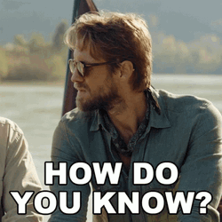 Football Player Danny Mcnamara How Do You Know GIF | GIFDB.com