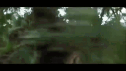 Forrest Gump Running GIFs | GIFDB.com