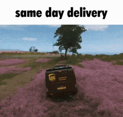 Forza Horizon 4 Same Day Delivery GIF | GIFDB.com
