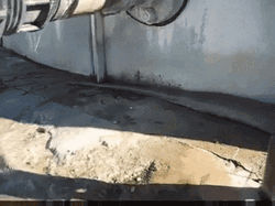 Found Dead Anaconda Snake GIF | GIFDB.com