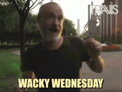 Fran Healy Wacky Wednesday GIF | GIFDB.com