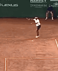Frances Tiafoe Forehand Slice GIF | GIFDB.com