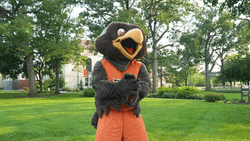 Freddie The Falcon Clapping GIF | GIFDB.com