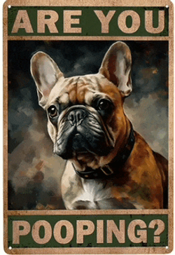 Frenchbulldog Meme GIF | GIFDB.com