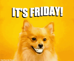 Friday Vibes Smiling Dog GIF | GIFDB.com